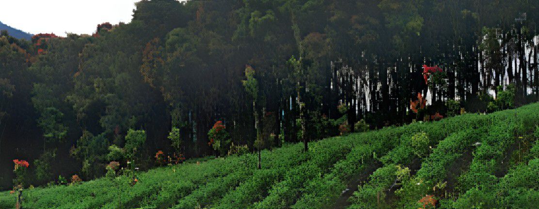 Global Warming Negative Weather Conditions Affect Us All